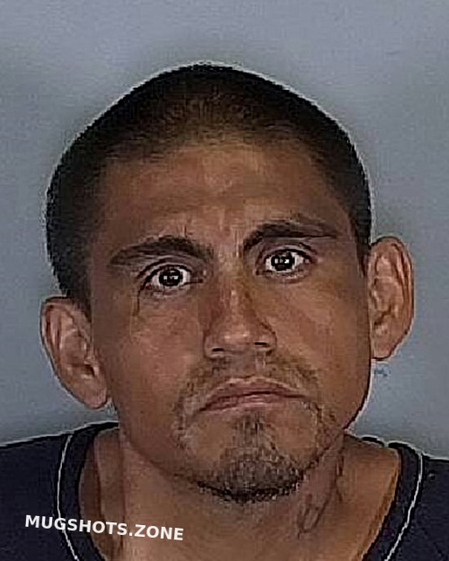 PACHECO RAMON 08/18/2021 - Manatee County Mugshots Zone