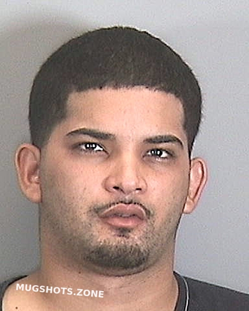 BERRIOS YERICK X 08/20/2021 - Manatee County Mugshots Zone