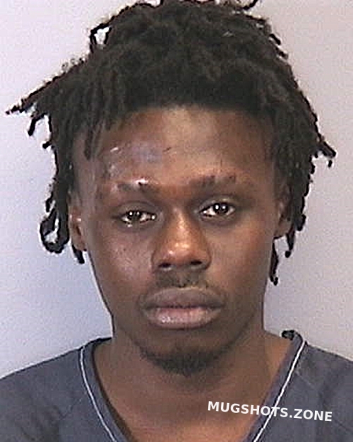 LOWE MYRON L 12/30/2021 - Manatee County Mugshots Zone