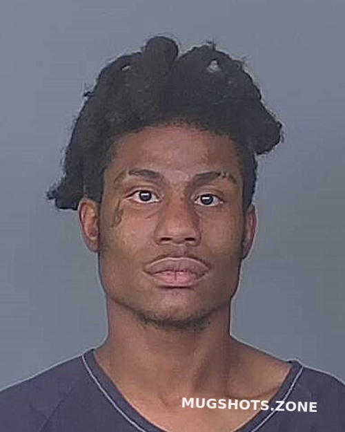 JUSTIN FRANTZ J 01/14/2022 - Manatee County Mugshots Zone