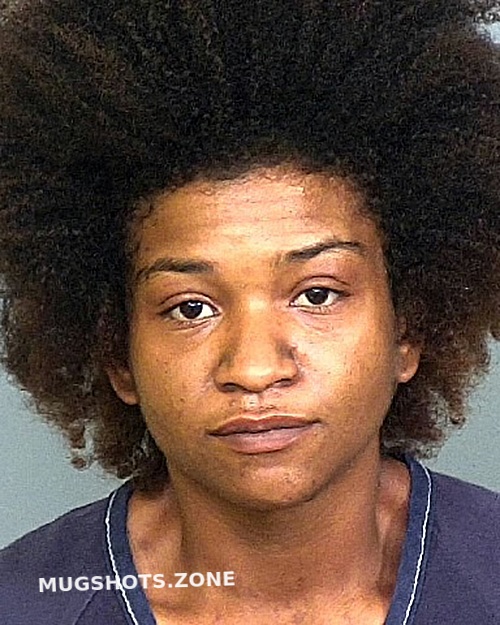 SMALL LYNNETTA S 01/16/2022 - Manatee County Mugshots Zone