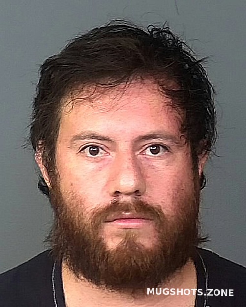 ROMERO SAMUEL 02/17/2022 - Manatee County Mugshots Zone