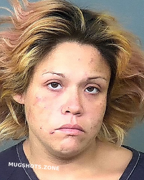 NICHOLAS ISABELLA 02/28/2022 - Manatee County Mugshots Zone