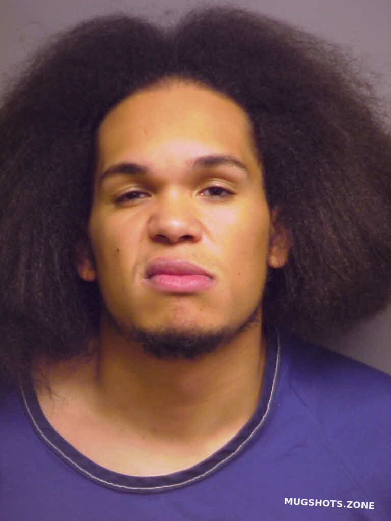 BERRIDGE TODD A 03/02/2022 - Manatee County Mugshots Zone