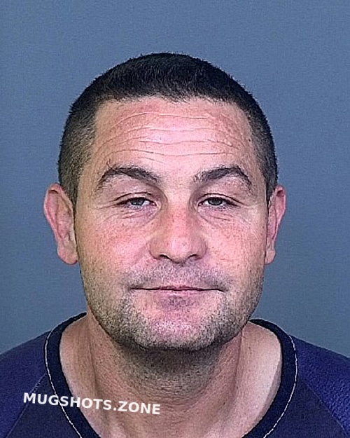 YOUSSEF NADER 03/11/2022 - Manatee County Mugshots Zone