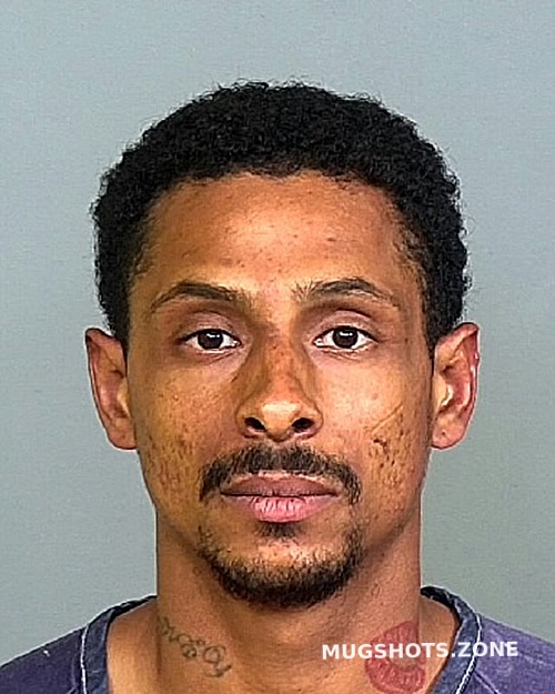 PINCKNEY CHRISTOPHER A 04/01/2022 - Manatee County Mugshots Zone