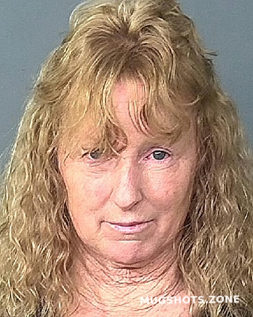 MILBRATH NANCY A 04/18/2022 - Manatee County Mugshots Zone