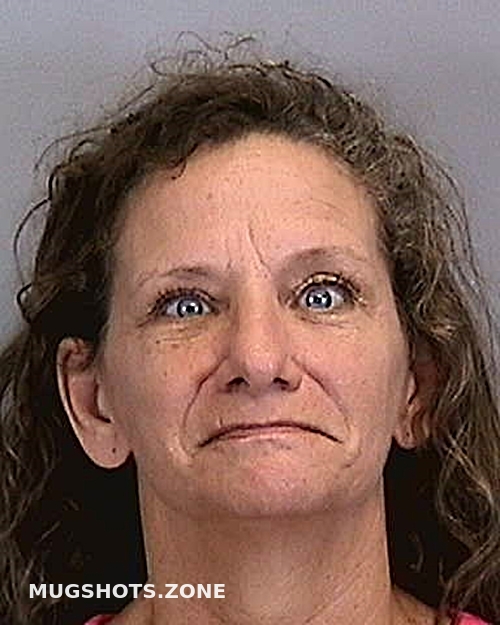 ENDSLEY AMY 06/05/2022 - Manatee County Mugshots Zone