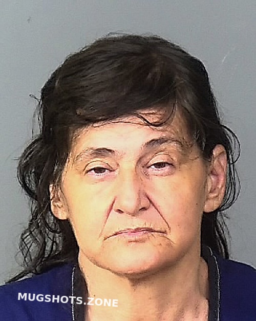 ULLOA DIAZ OLGA L 07/30/2022 - Manatee County Mugshots Zone