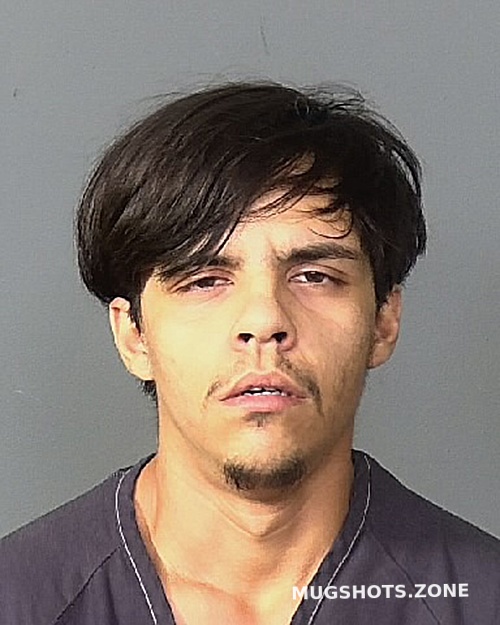 ROCAFORT VEGA AXEL J 10/12/2022 - Manatee County Mugshots Zone