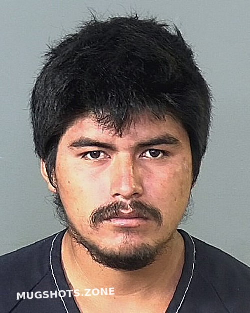 CHAVEZ LABRA FERNANDO 10/14/2022 - Manatee County Mugshots Zone