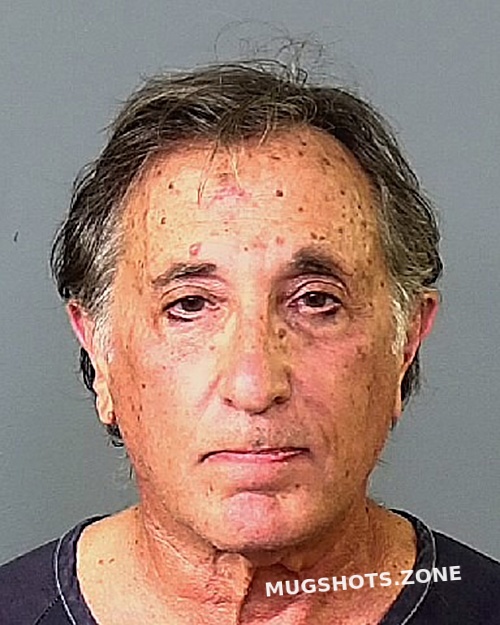 LEVY ALLAN 10/30/2022 - Manatee County Mugshots Zone