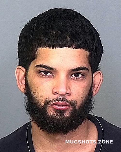 BERRIOS YERICK X 11/03/2022 - Manatee County Mugshots Zone