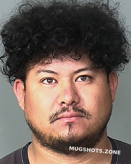 ALBA-REYES MARIO 11/04/2022 - Manatee County Mugshots Zone