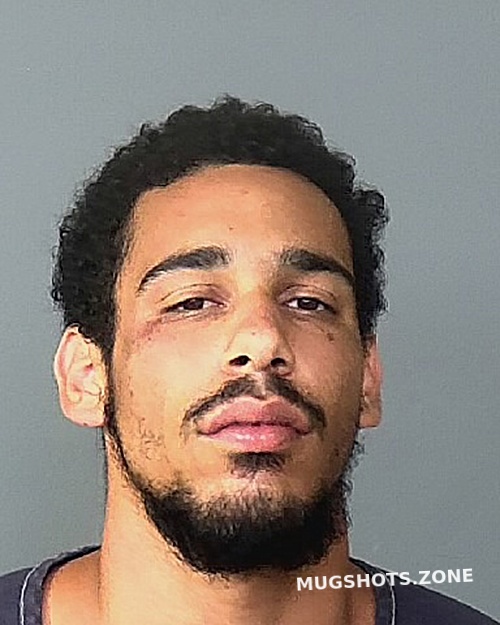 FALLS DESTIN A 11/08/2022 - Manatee County Mugshots Zone