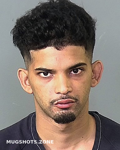 BERRIOS YERICK X 11/08/2022 - Manatee County Mugshots Zone