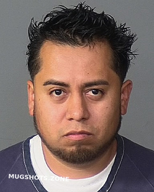 DEJESUS-TEJADO RAMON 11/10/2022 - Manatee County Mugshots Zone