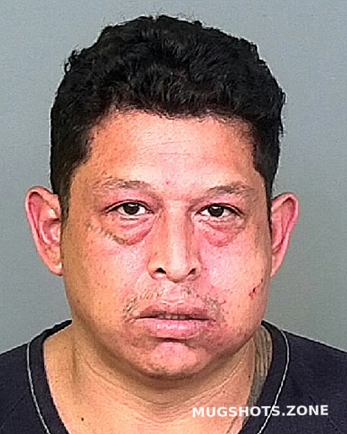 GUERRERO ROBERTO 11/14/2022 - Manatee County Mugshots Zone