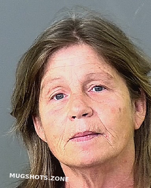 WOODS LOWE CATHERINE P 11/15/2022 - Manatee County Mugshots Zone