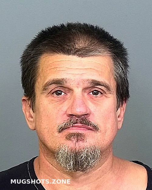 HENDERSON PHILLIP W 11/15/2022 - Manatee County Mugshots Zone