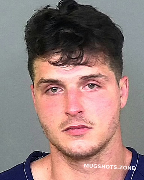 RIENSTRA EDWARD R 11/19/2022 - Manatee County Mugshots Zone