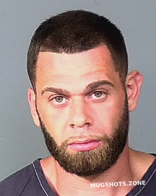 Hernz Damien M 11 19 2022 Manatee County Mugshots Zone