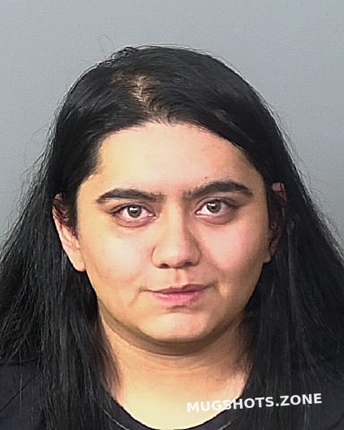 NAVARRETE NATALIE 12/03/2022 - Manatee County Mugshots Zone