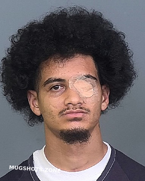 CINTRON-MALAVE CHRISTIAN 12/04/2022 - Manatee County Mugshots Zone