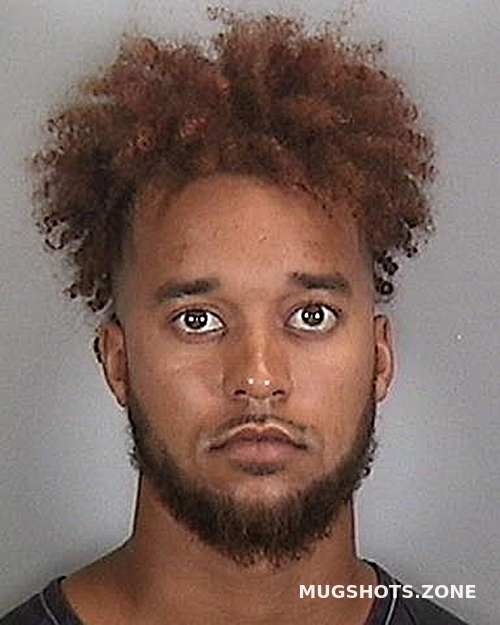 HANSELMAN DOMINIC L 12/15/2022 - Manatee County Mugshots Zone