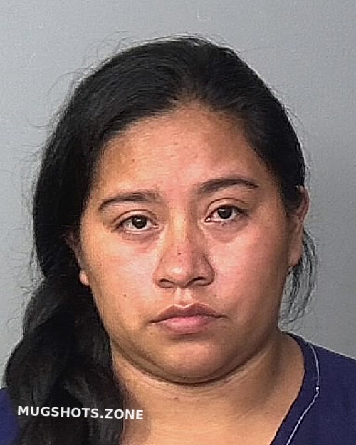 HUARCAS TOMASA 01/05/2023 - Manatee County Mugshots Zone