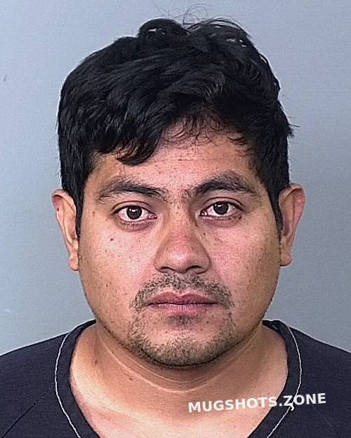 GARCIA-VILLATORO MADAIN 01/08/2023 - Manatee County Mugshots Zone