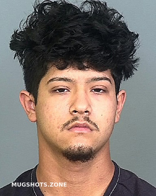 PEREZ JULIO 02/01/2023 - Manatee County Mugshots Zone