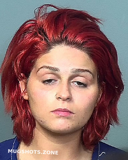 SANTOS TAYNA 02/04/2023 - Manatee County Mugshots Zone