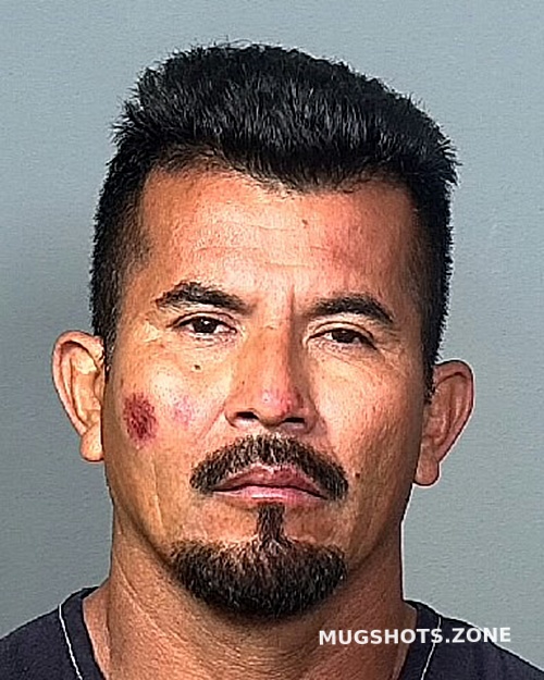 JOYAS JOSE W 02/12/2023 - Manatee County Mugshots Zone