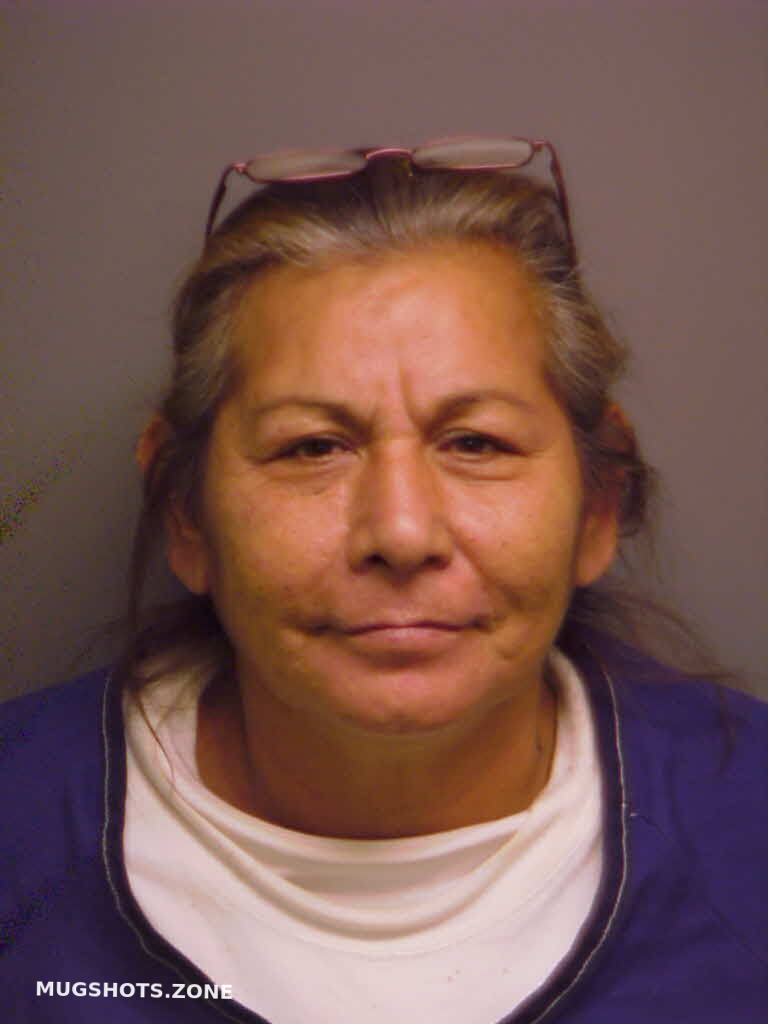 Sanchez Alicia 03 01 2023 Manatee County Mugshots Zone