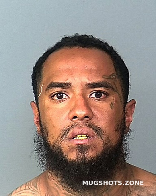 ORDAZ JOHNNY 03/09/2023 - Manatee County Mugshots Zone