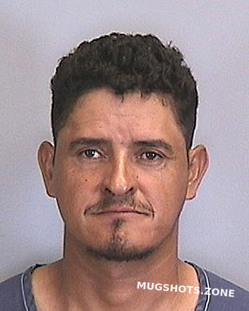 HERNANDEZ VELASQUEZ SELVIN 03/17/2023 - Manatee County Mugshots Zone