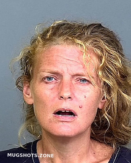 DODGE HEATHER A 03/17/2023 - Manatee County Mugshots Zone