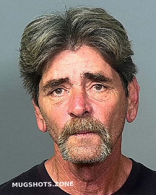 WOODARD DALE C 03/29/2023 - Manatee County Mugshots Zone