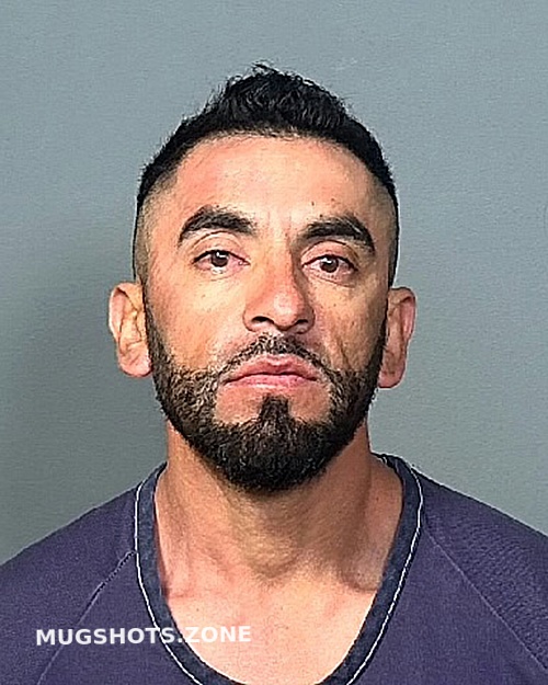 RODRIGUEZ SILVA FERNANDO 04/02/2023 - Manatee County Mugshots Zone