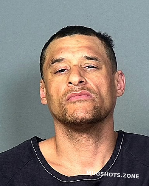 MORGAN MARCUS J 04/04/2023 - Manatee County Mugshots Zone