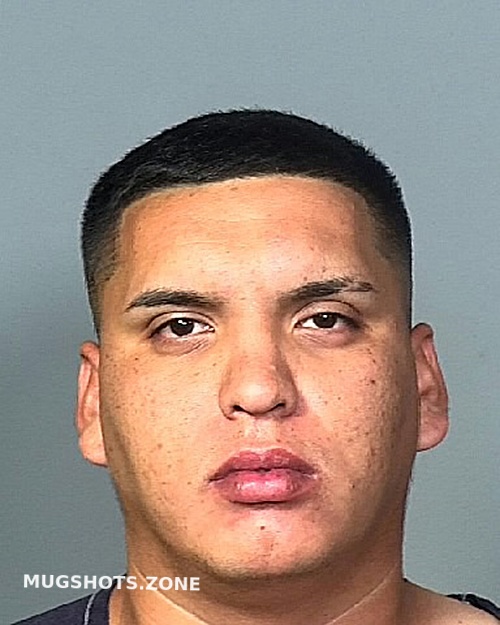 QUINTERO VEGA LUIS 04/09/2023 - Manatee County Mugshots Zone