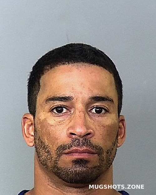 COLLINS MICHAEL J 04/11/2023 - Manatee County Mugshots Zone