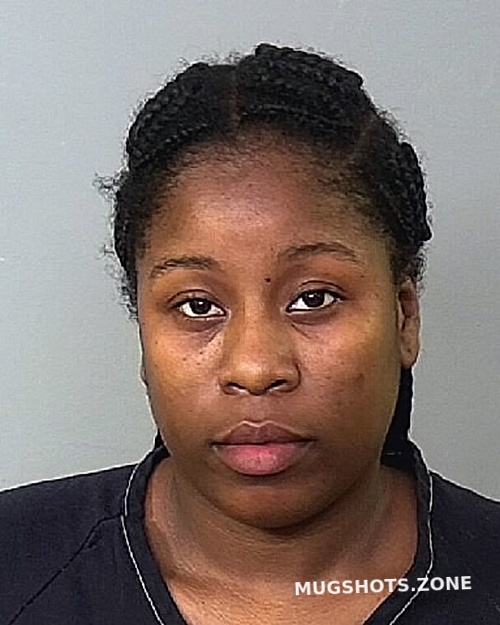 CUMMINGS NAKIA J 04/15/2023 - Manatee County Mugshots Zone