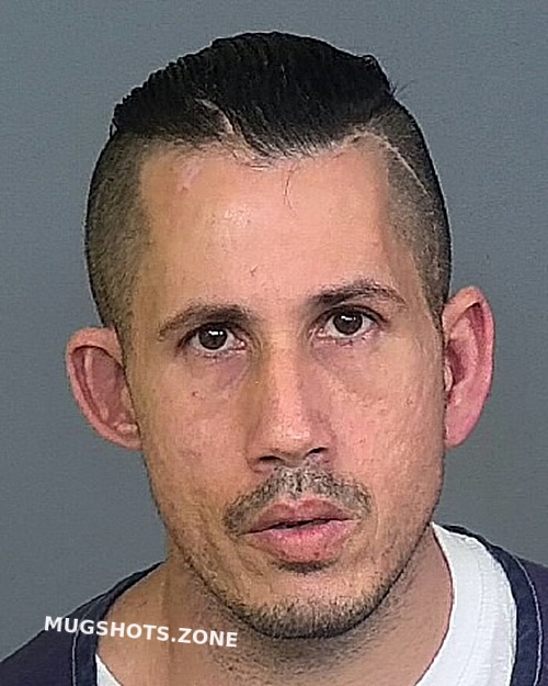 SENN ADAM C 05/24/2023 - Manatee County Mugshots Zone