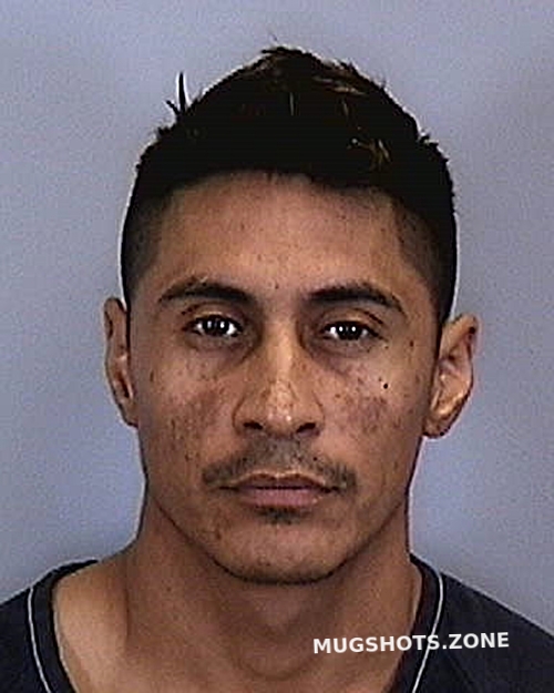 REYES-ALBERTO WILSON MACLIN 06/13/2023 - Manatee County Mugshots Zone