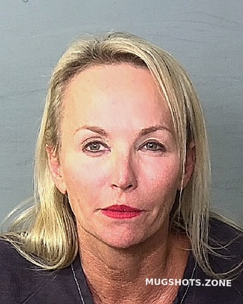 HINDES DENISE B 06/20/2023 - Manatee County Mugshots Zone