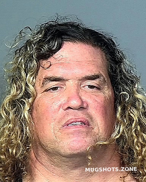 DAMIANO ANTHONY 06/23/2023 - Manatee County Mugshots Zone