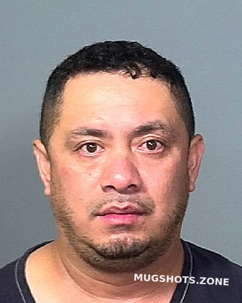 PORRAS RAMON JOSE L 06/25/2023 - Manatee County Mugshots Zone