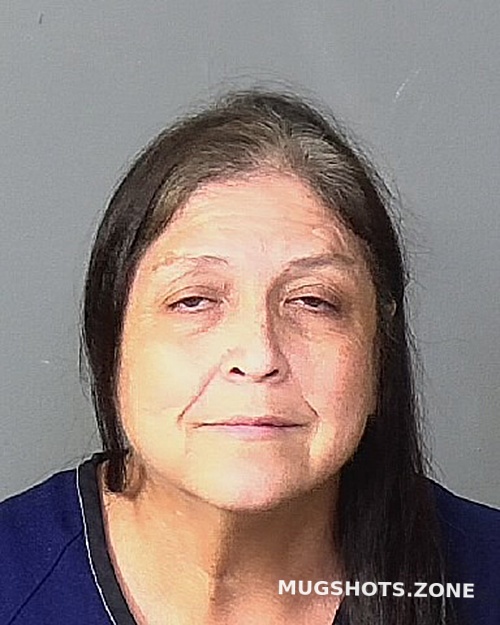 TURFFS DIANE L 06/27/2023 - Manatee County Mugshots Zone